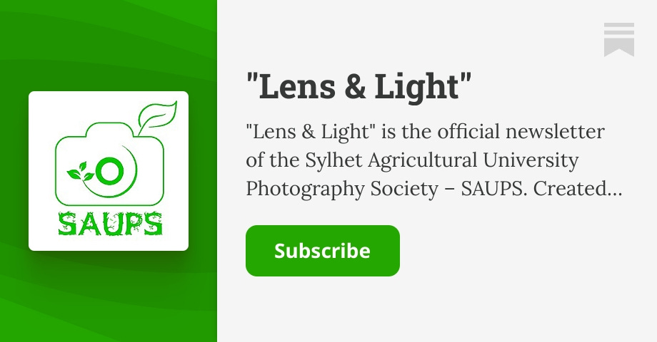 "Lens & Light" | SAUPS | Substack