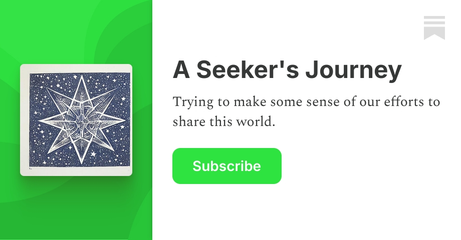 A Seeker's Journey | A Seekers Journey | Substack