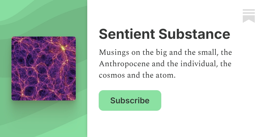 Sentient Substance | Fractal Fan | Substack