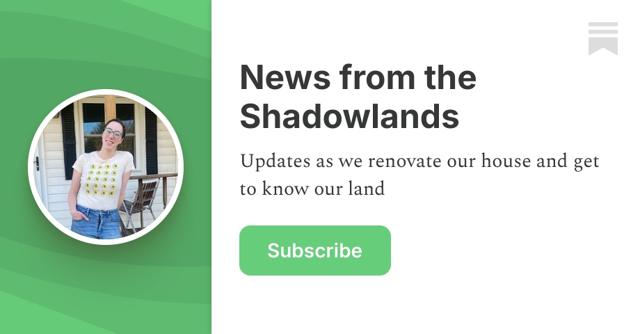 News from the Shadowlands | Elizabeth Burtman | Substack
