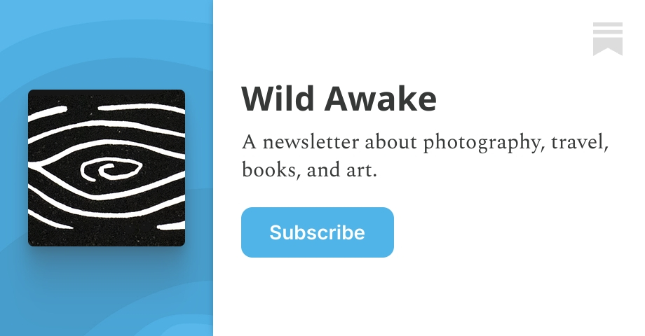 Wild Awake | Shannon Hunt | Substack