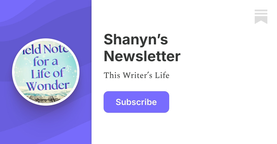 Shanyn’s Newsletter | Substack