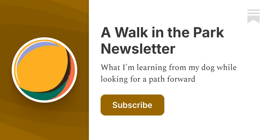 A Walk in the Park Newsletter | Sheila | Substack