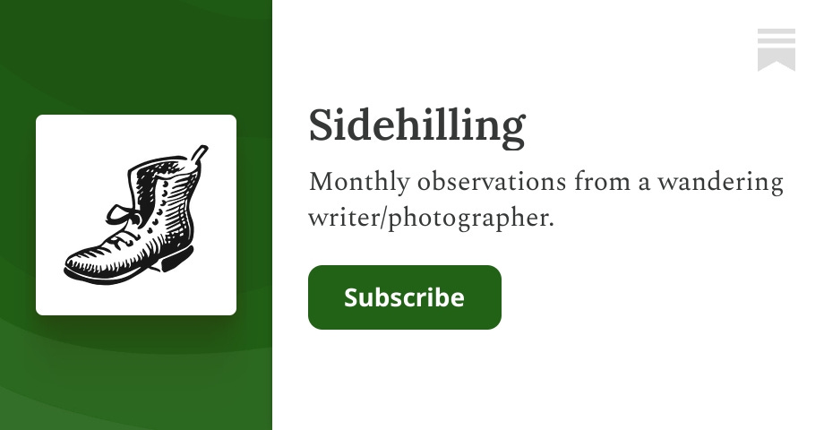 Sidehilling | Riley Yuan | Substack