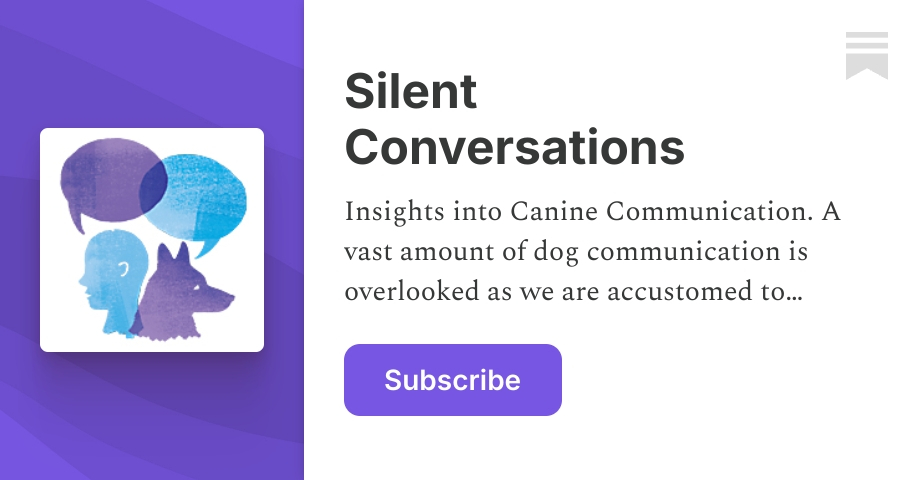 Silent Conversations | Martha Knowles | Substack