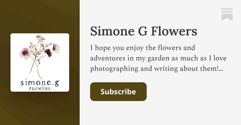 Simone G Flowers | Simone Gonzalez | Substack