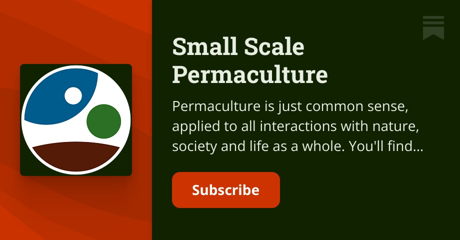 Small Scale Permaculture | Bobby Dimitrov | Substack