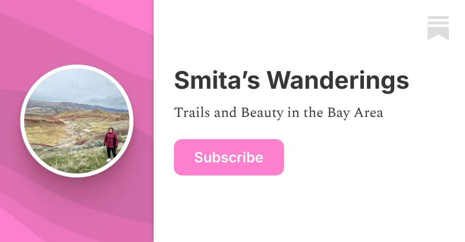 Smita’s Wanderings | Smita Kolhatkar | Substack