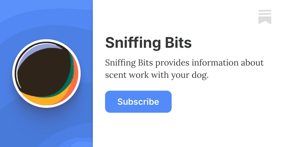 Sniffing Bits | Donna Golemon | Substack