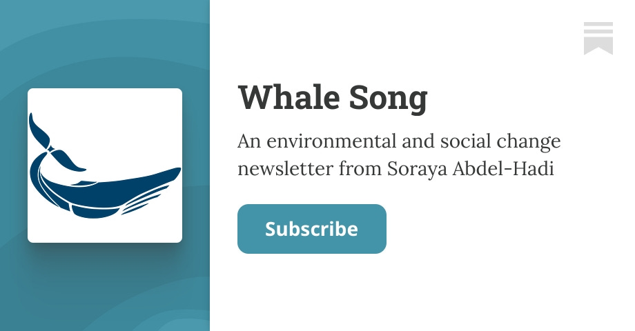 Whale Song | Soraya Abdel-Hadi | Substack