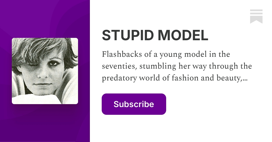 STUPID MODEL | Substack