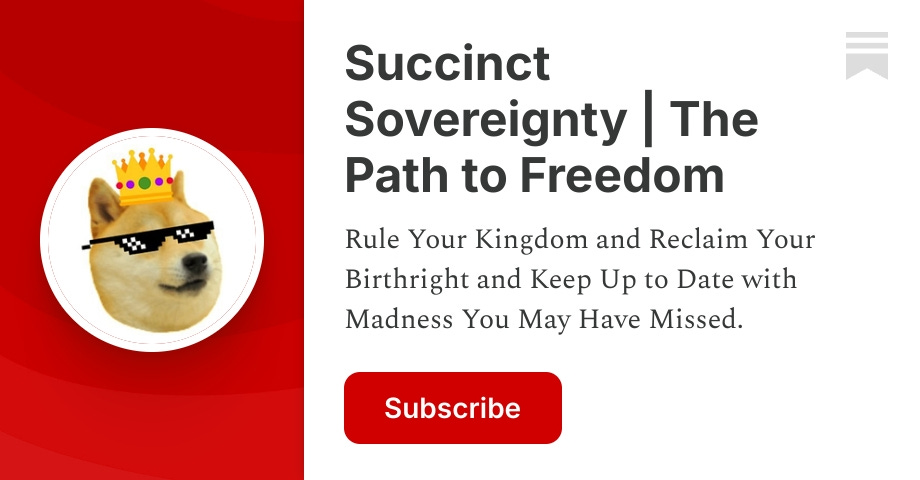 Succinct Sovereignty | The Path to Freedom | Substack