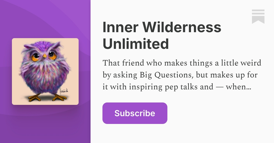 Inner Wilderness Unlimited | SuddenlyJamie | Substack