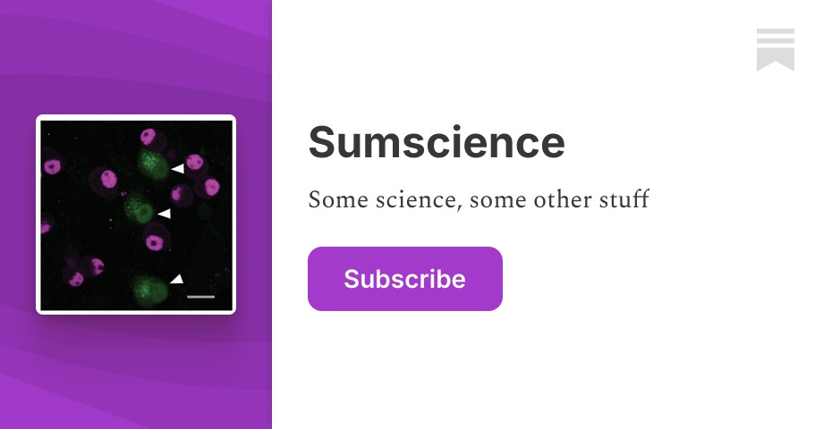 Sumscience | Summer Allen | Substack