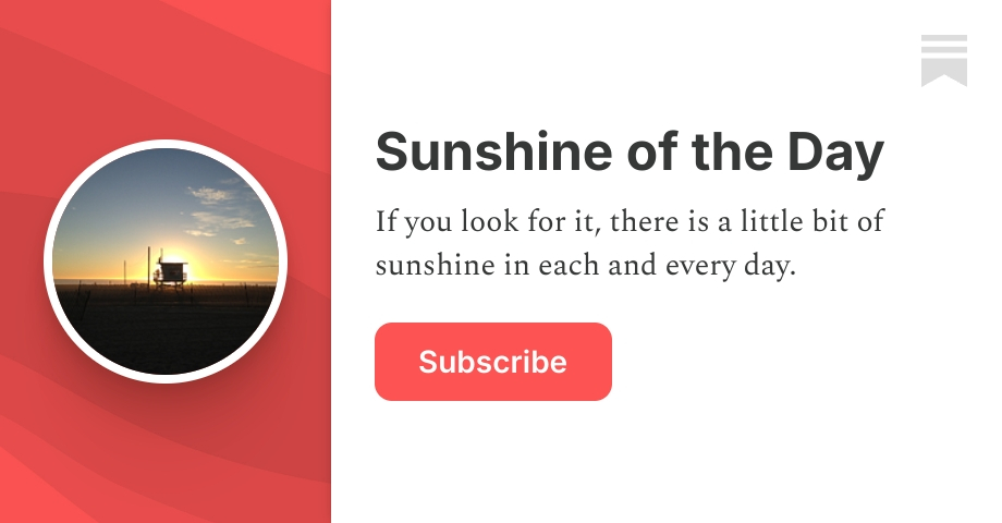 Sunshine of the Day | Rebecca Reeder | Substack