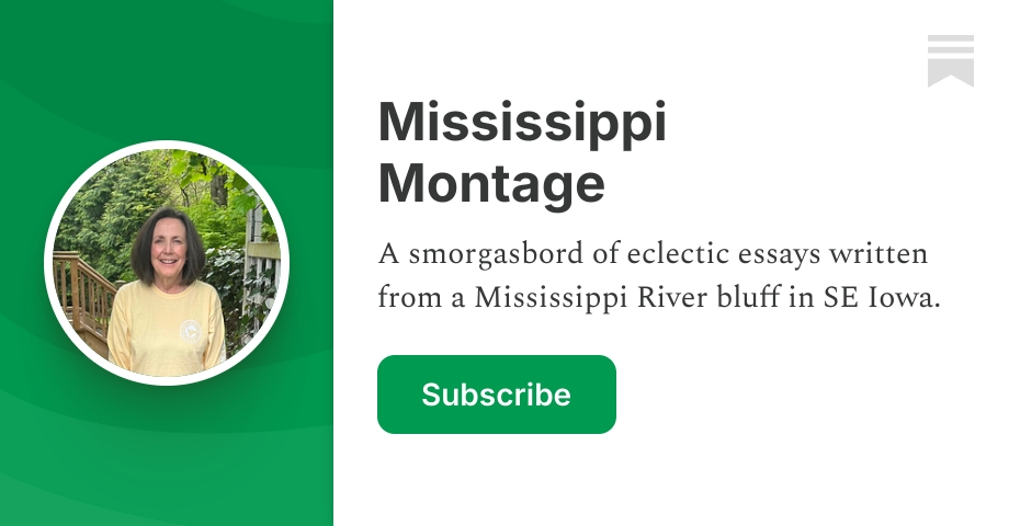 Mississippi Montage | Susan Beckman | Substack