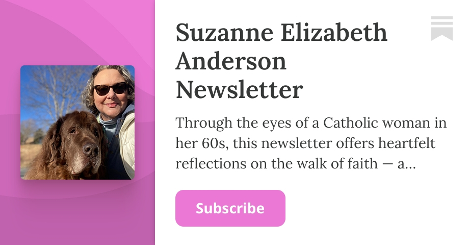 Suzanne Elizabeth Anderson Newsletter | Sundays with Suzanne | Substack