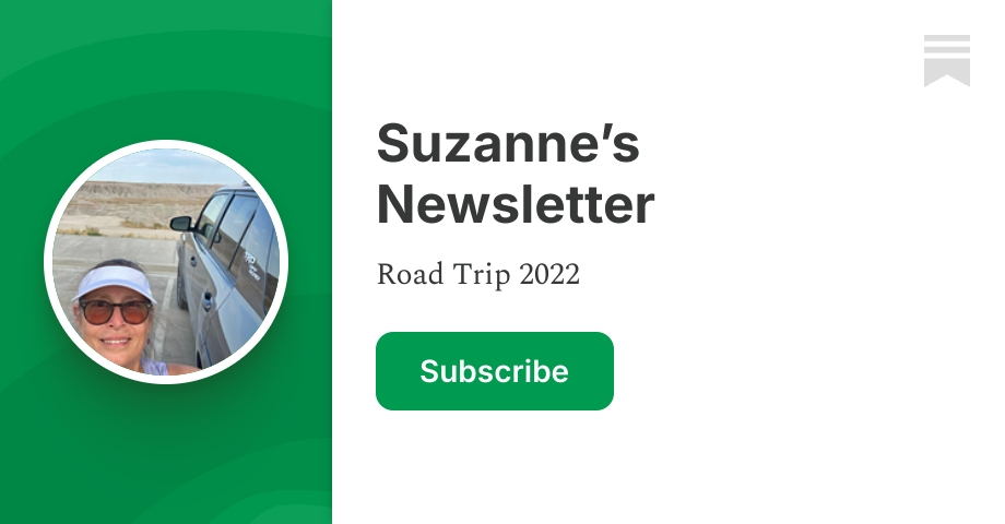 Suzanne’s Newsletter | Suzanne Soffer | Substack