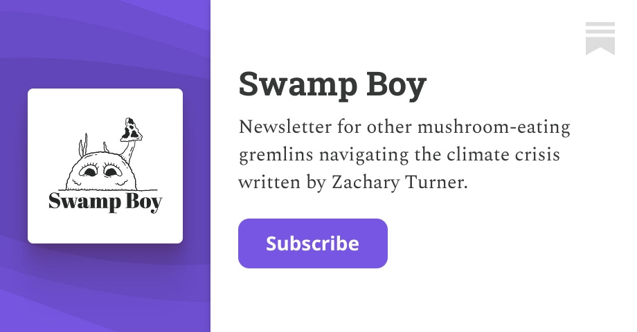 Swamp Boy | Zachary D. Turner | Substack