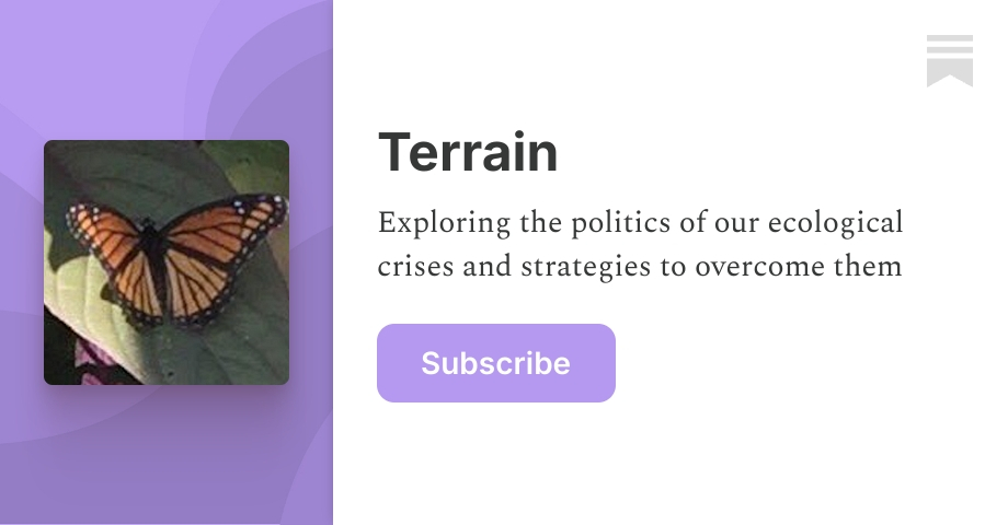 Terrain | Matthew J. Haugen | Substack