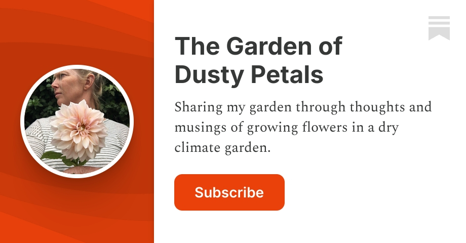 The Garden of Dusty Petals | Substack