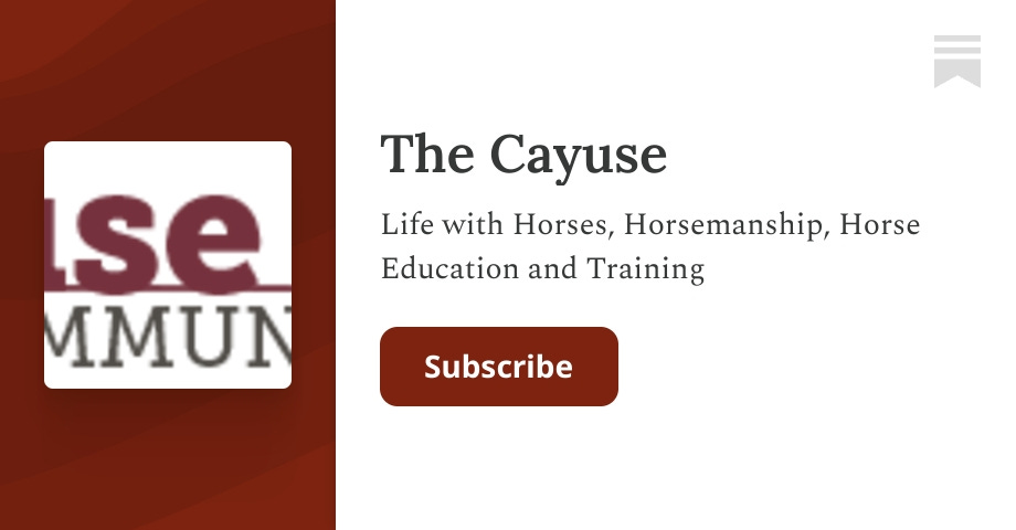 The Cayuse | Maddy Butcher | Substack
