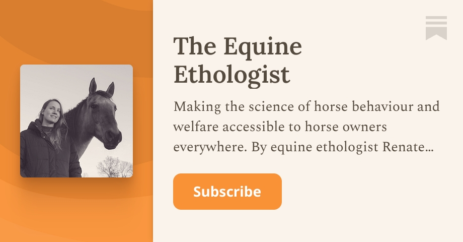 About - The Equine Ethologist