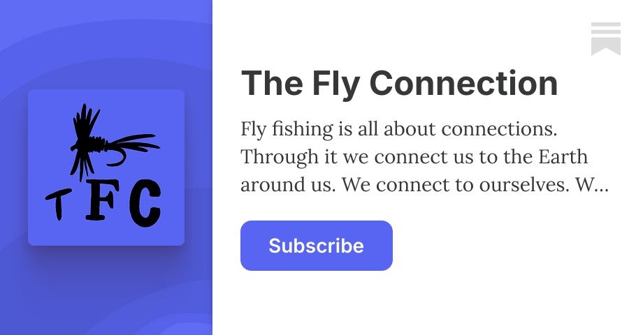 The Fly Connection | Substack