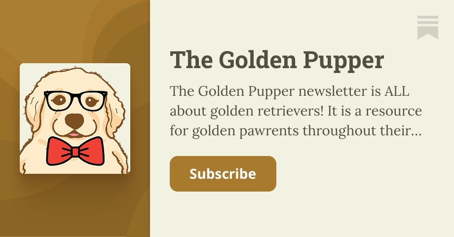 The Golden Pupper | Molly Barnett | Substack