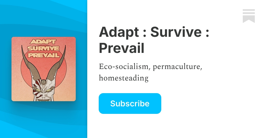 Archive - Adapt : Survive : Prevail