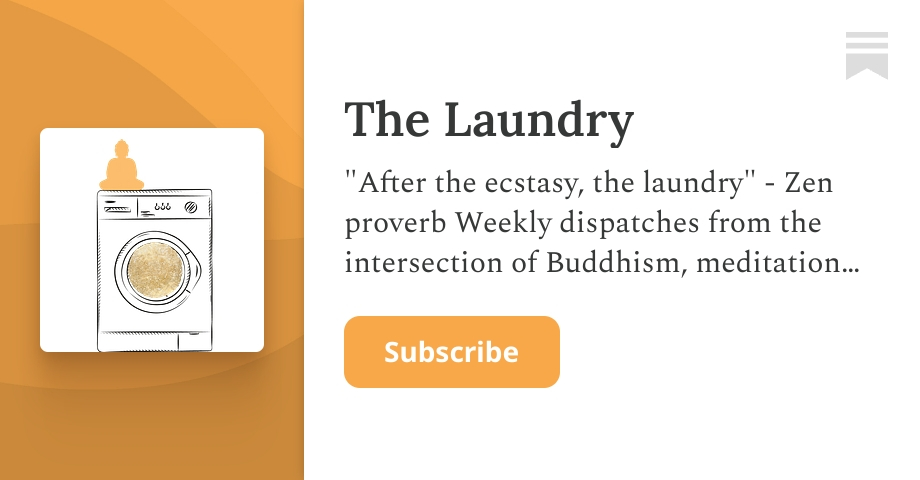 The Laundry | Lodro Rinzler | Substack