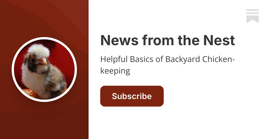 News from the Nest | Belinda Harris | Substack