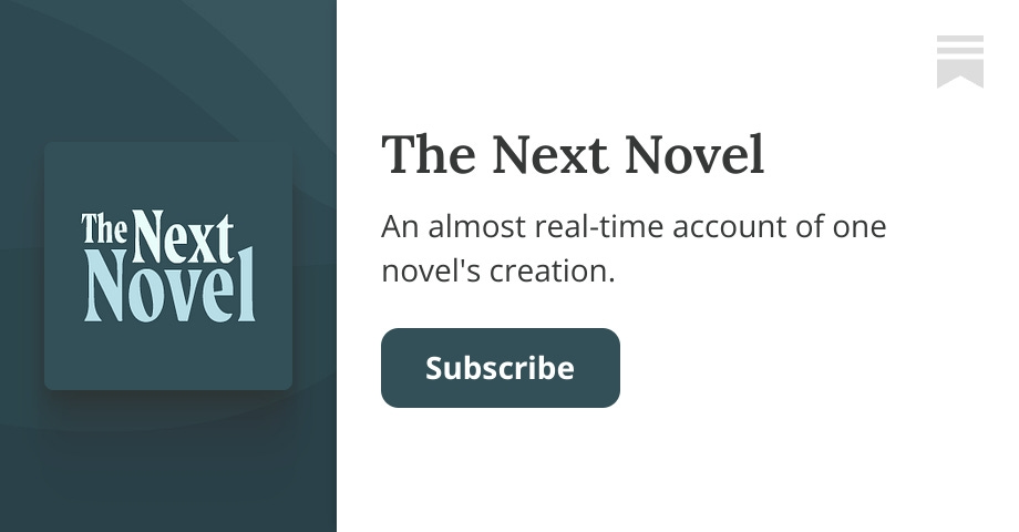 The Next Novel | Shayne Terry | Substack