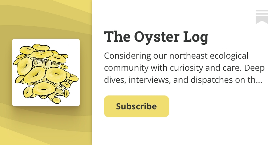 The Oyster Log | Chris Baker | Substack