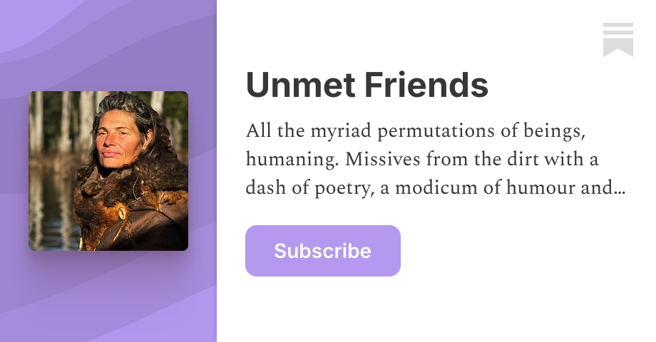 Unmet Friends - Gina Chick's blog | Substack