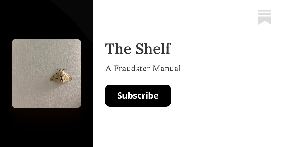 The Shelf | Jin | Substack