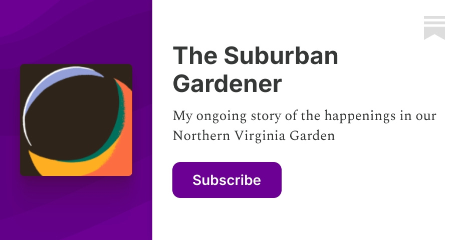 The Suburban Gardener | Kenneth N. Myers | Substack
