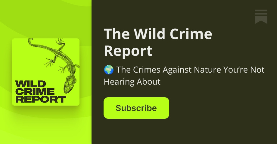 The Wild Crime Report | Wildlife Detective | Substack