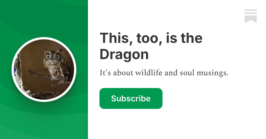 This, too, is the Dragon | Heather | Substack