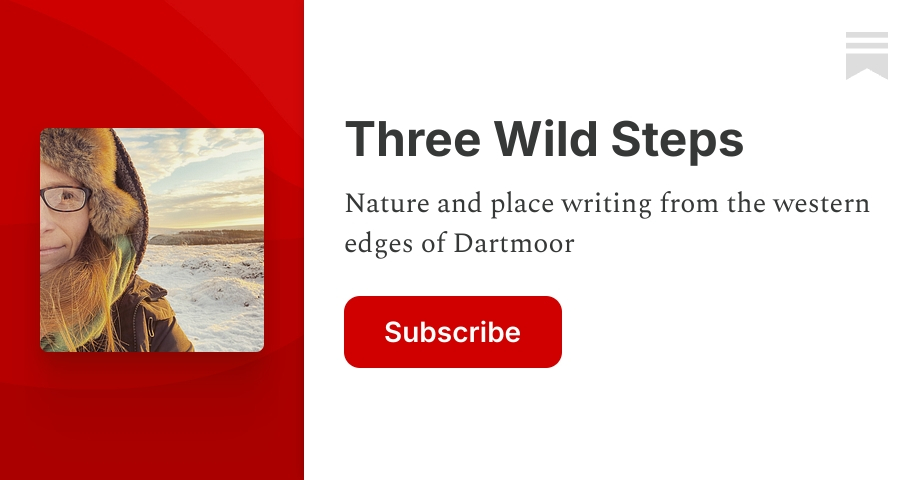 Three Wild Steps | Lynne Wyness | Substack