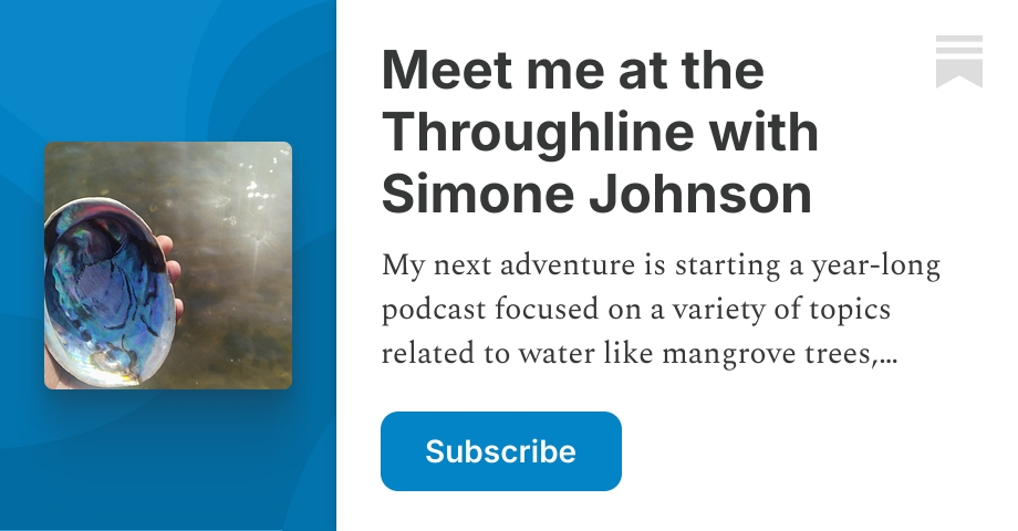Meet me at the Throughline with Simone Johnson | Substack