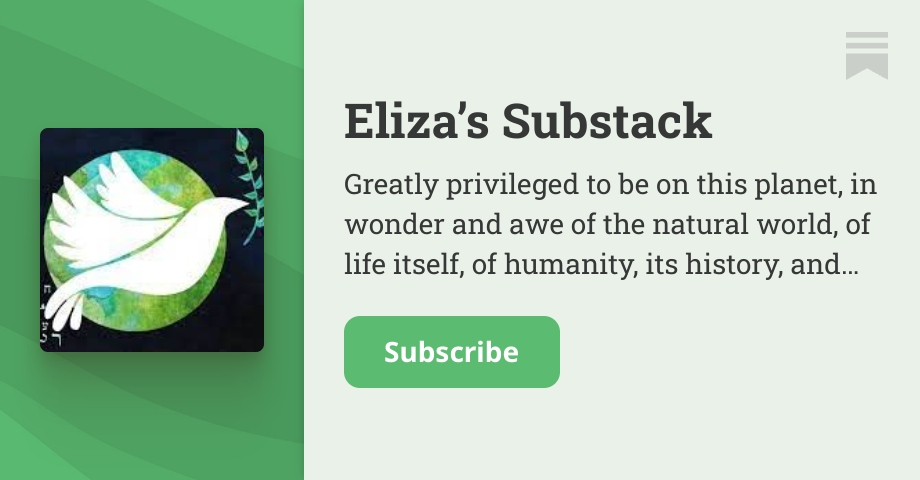 Eliza’s Substack | Substack