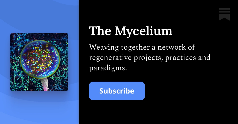 The Mycelium | Tijn Tjoelker | Substack