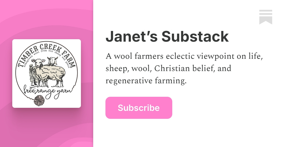 Janet’s Substack | Janet Garman | Substack