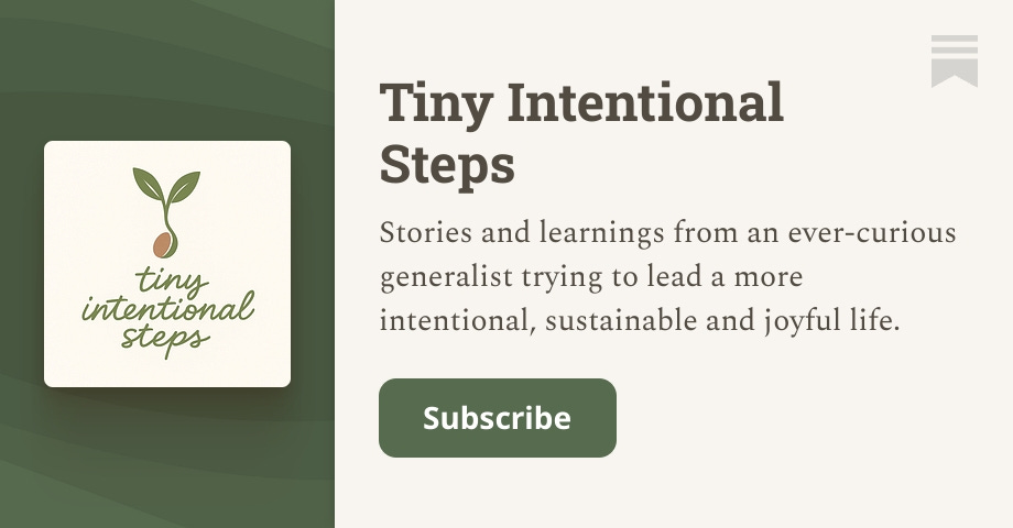 Tiny Intentional Steps | Alana | Substack
