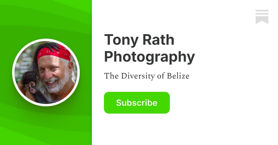 Tony Rath Photography | Substack