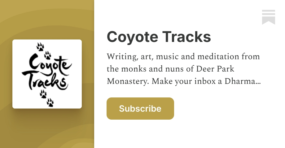 Coyote Tracks | Substack