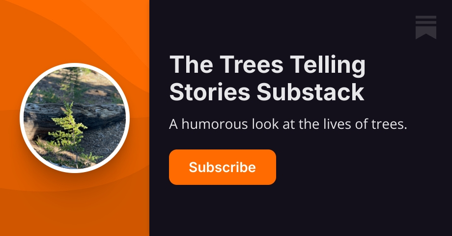 The Trees Telling Stories Substack | Substack