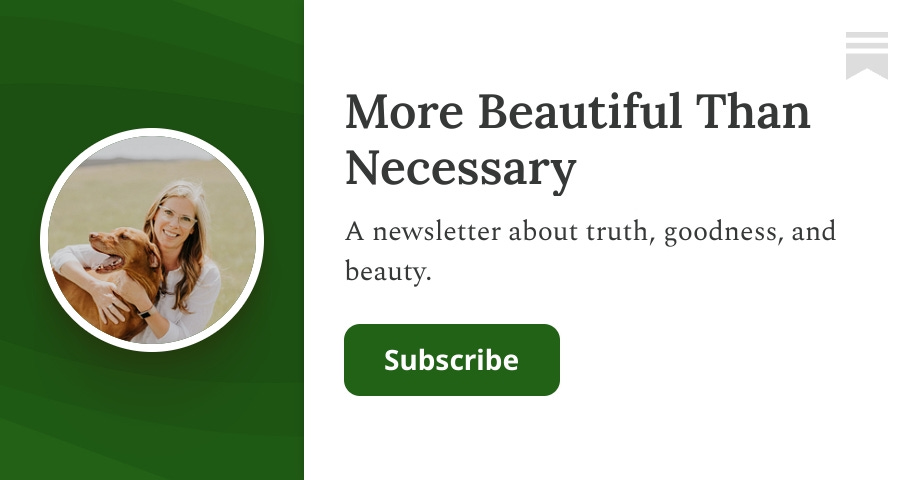 More Beautiful Than Necessary with Tresta Payne | Substack