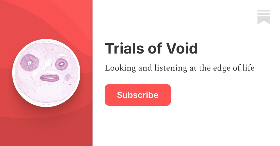 Trials of Void | Leah Ginnivan | Substack